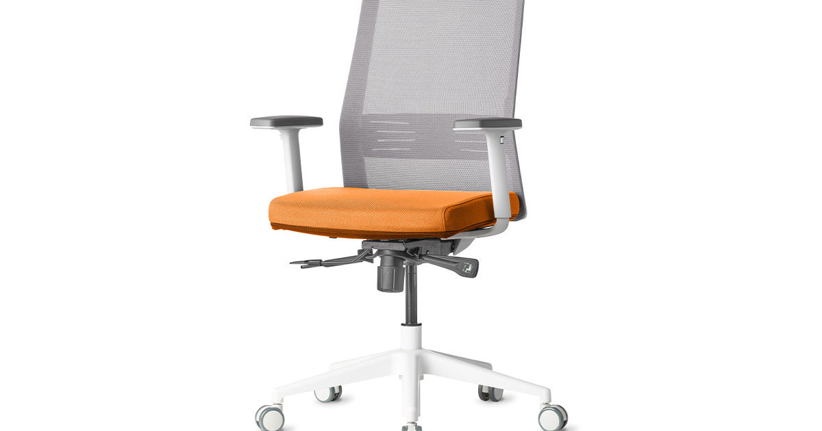 AMQ Solutions | Bodi